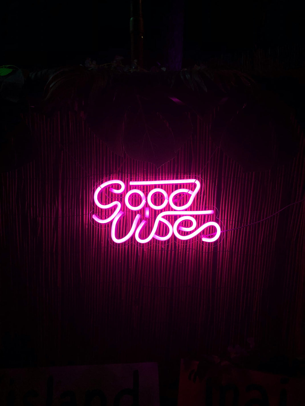 Illuminate Your Life with Trendsetting Neon Lights - Unleash Vibrancy ...